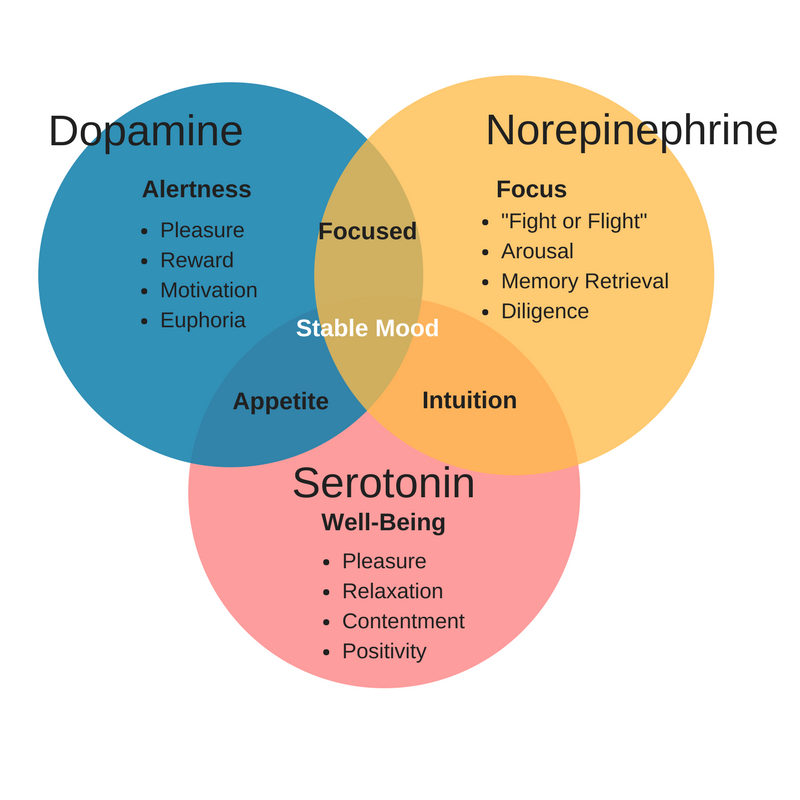 Understanding the Role of Dopamine in Mental Health Disorders - HEMLOCK ...
